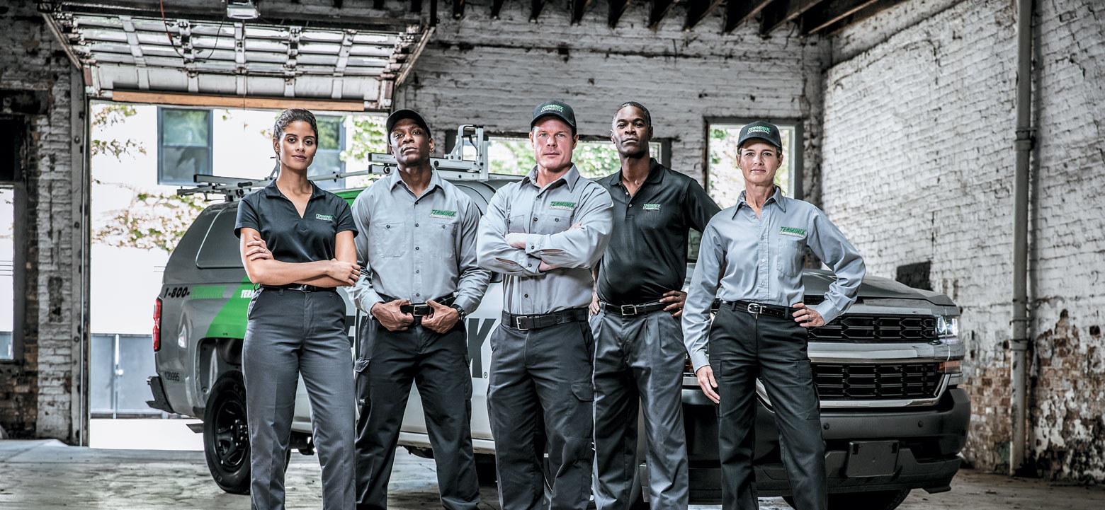 Control de plagas y tratamiento de termitas: exterminadores locales ...